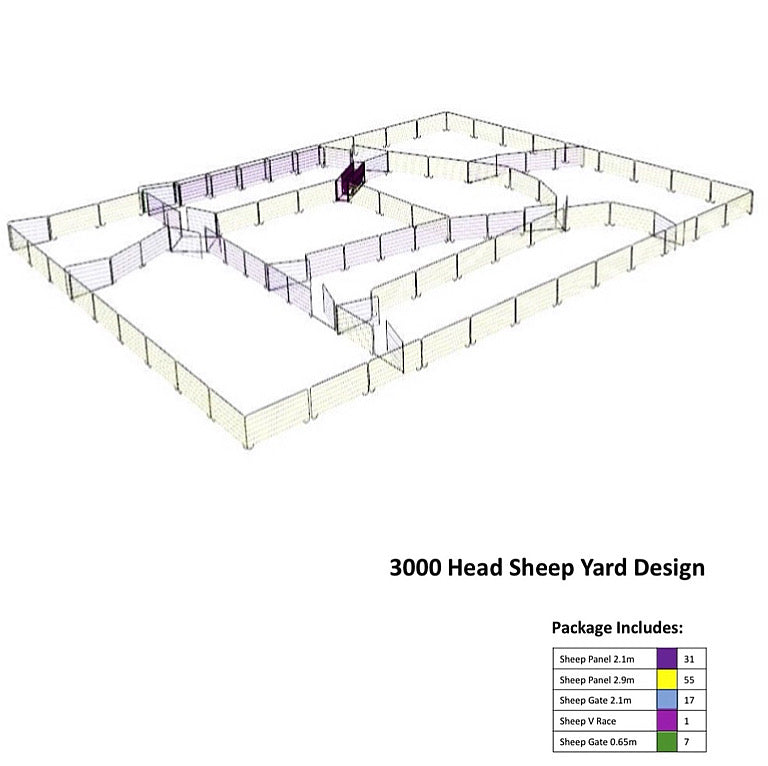 3000 Head Sheep Yard Design – Mixsteel